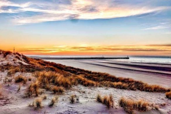 Navigating the Storm: A Pilot's Perspective on Landing in Adverse ...